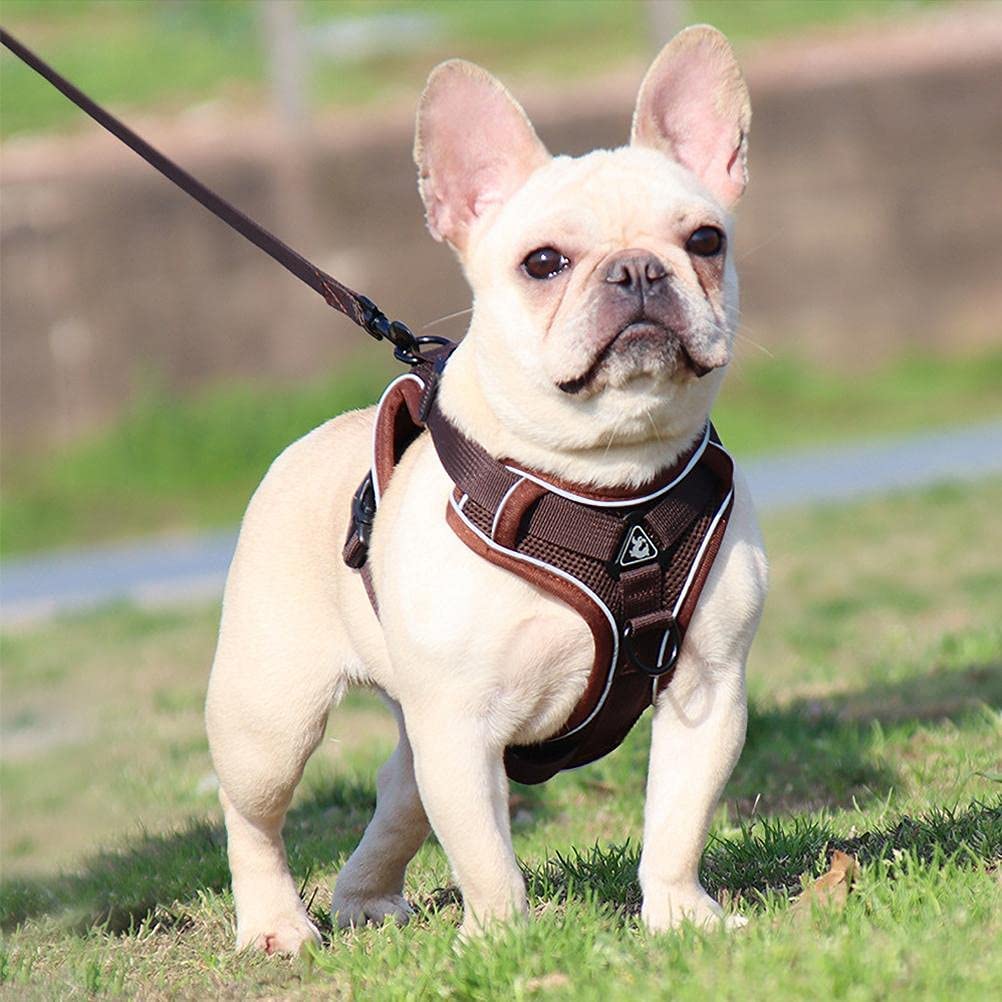Guia Top 10 melhores coleiras peitorais para cachorros e gatos 2023